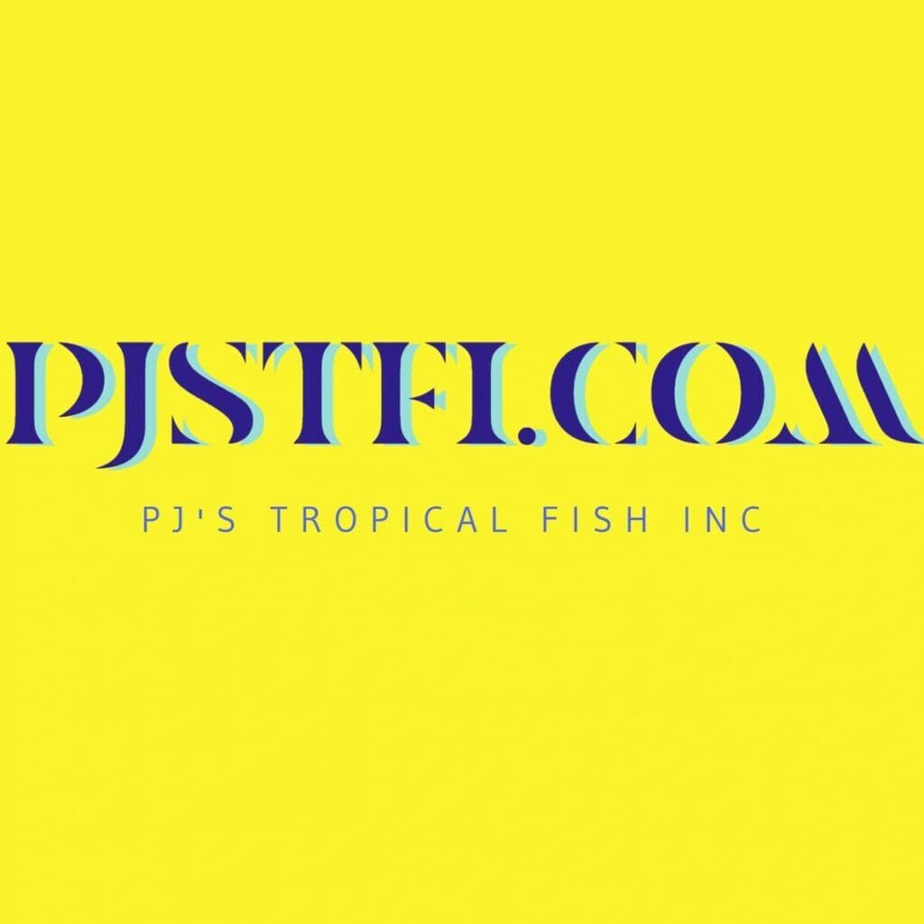 PJ's Tropical Fish - Different matters! Lowest Price, Highest Quality!